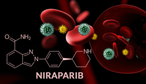 Niraparib: Everything You Need to Know - Bulat Pharmaceutical